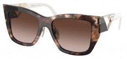 Illuminata Eyewear | Prada Glasses | Prada Sunglasses | Prada Glasses ...